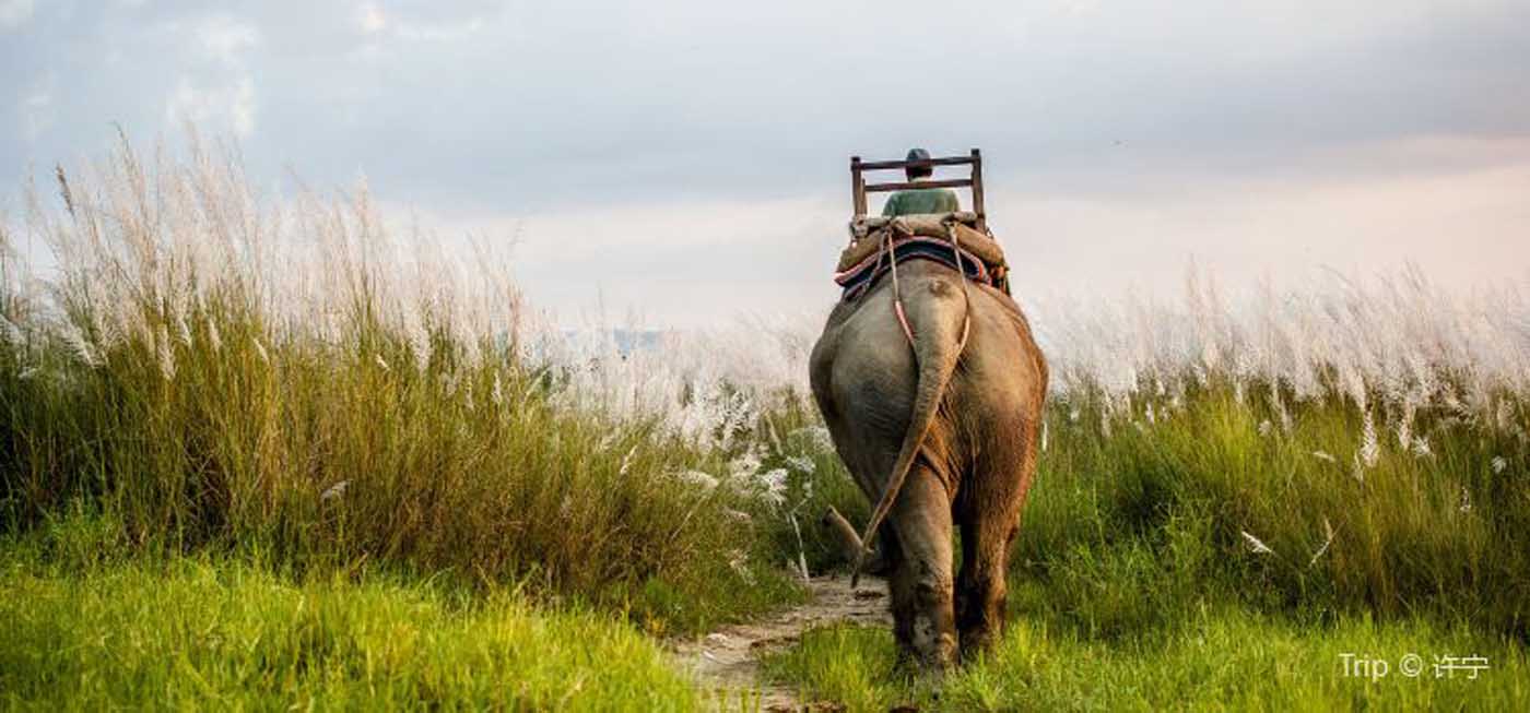 Hamro Journey | Welcome